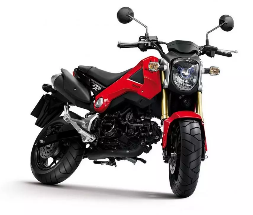 פֿון פּאָרטלאַנד צו אַלאַסקאַ אויף אַ Honda MSX 125, כּמעט 5,000 קילאמעטער! 100746_5