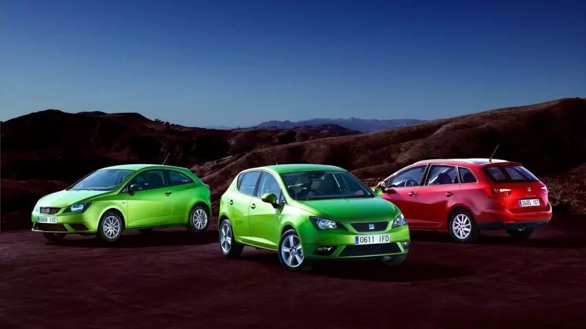 Гісторыя Seat Ibiza