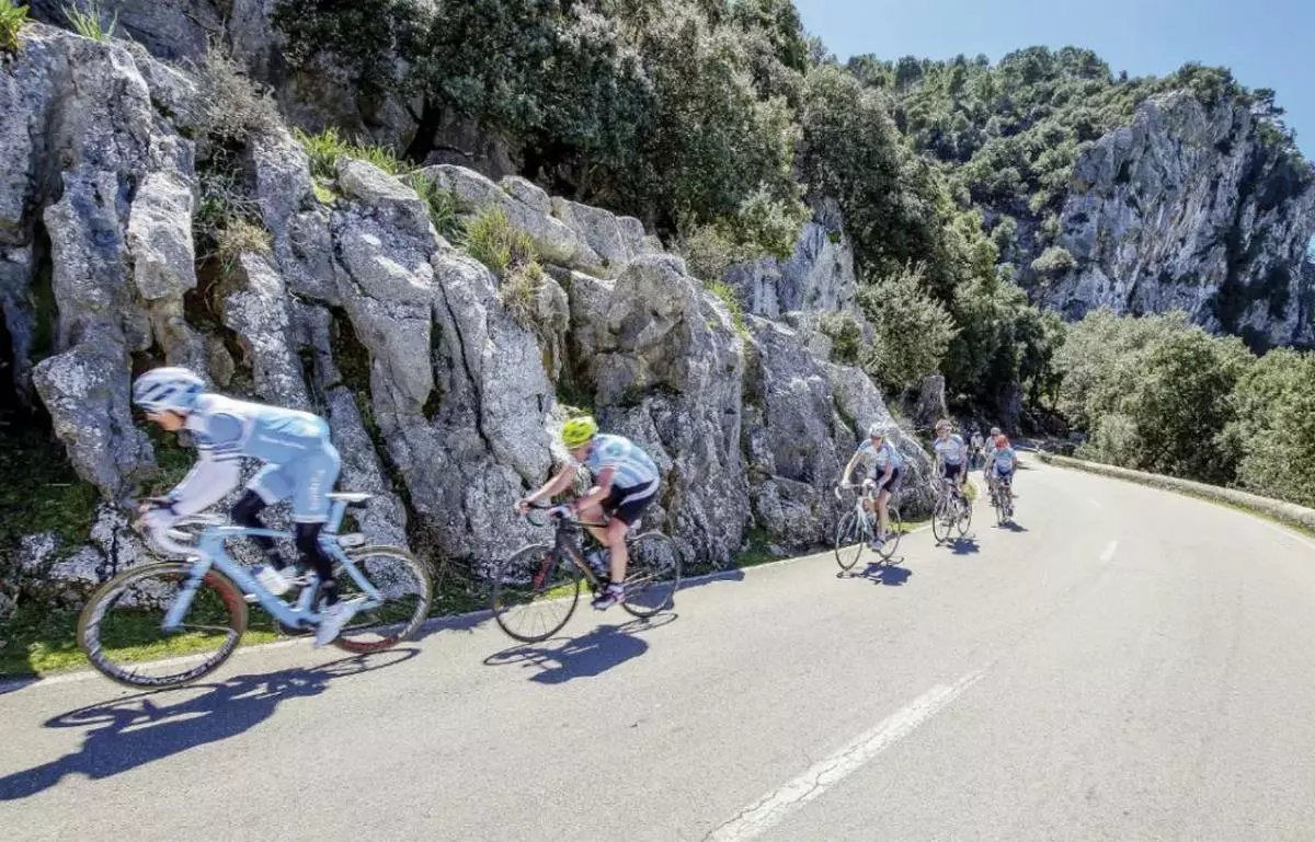 5 vélos de route parfaits pour apprendre cet été