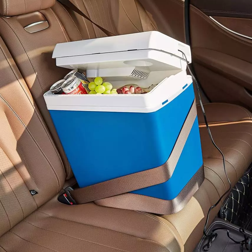 Portable na refrigerator