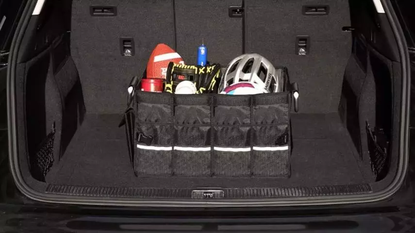 Ugreen Trunk Organizer