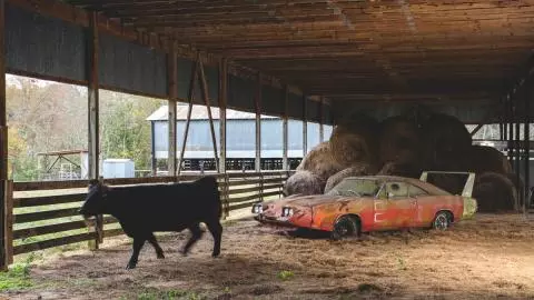 Dodge charger daytona abandoned farm