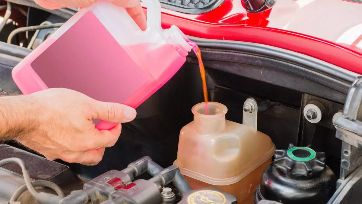 This is the coolant for cars that people are buying like crazy on Amazon before the arrival of the heat