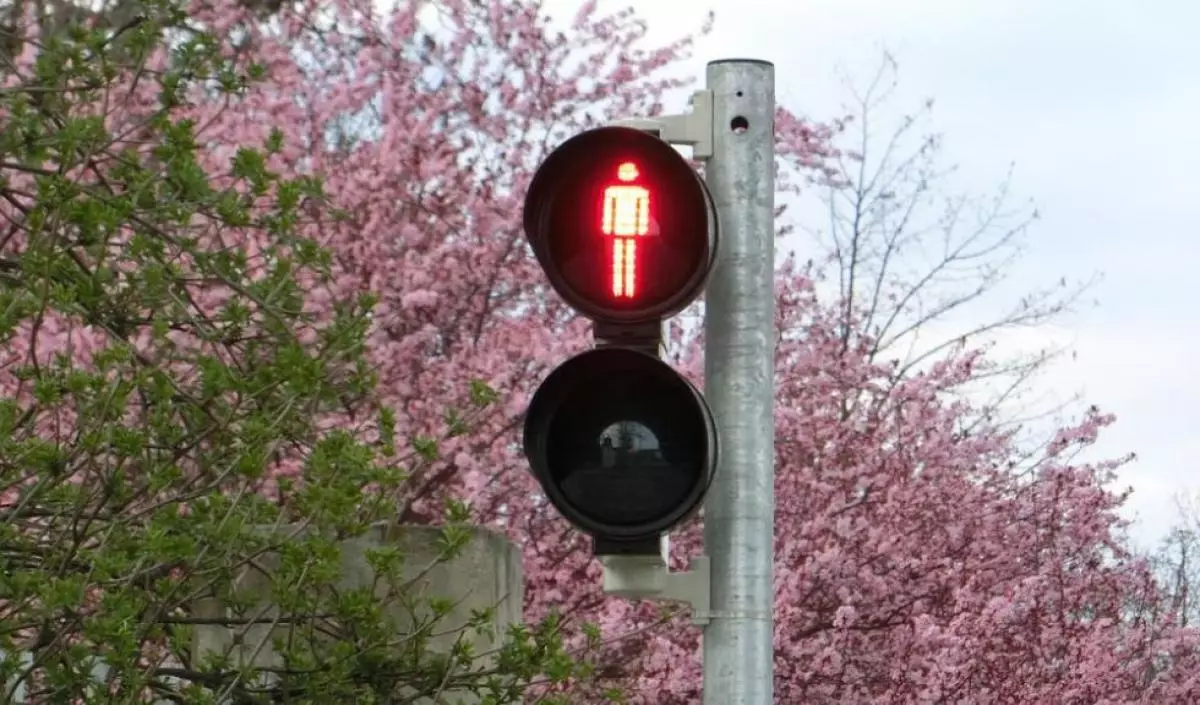 Autók nem tudnak behajtani a Puerta del Sol térre