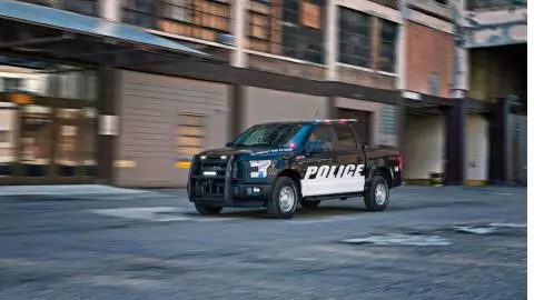 ford f-150 special services police